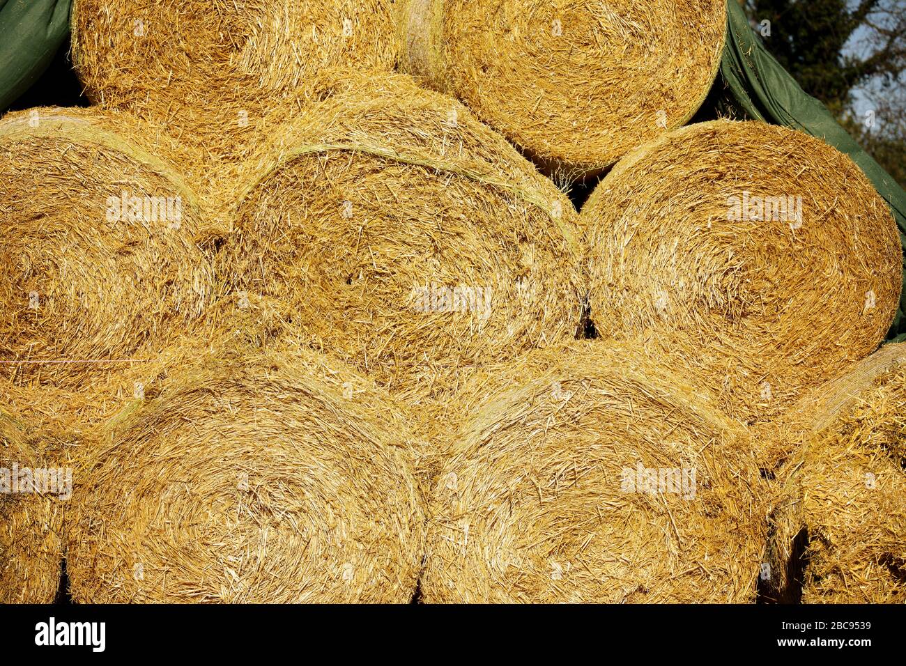 Flour bales hi-res stock photography and images - Alamy