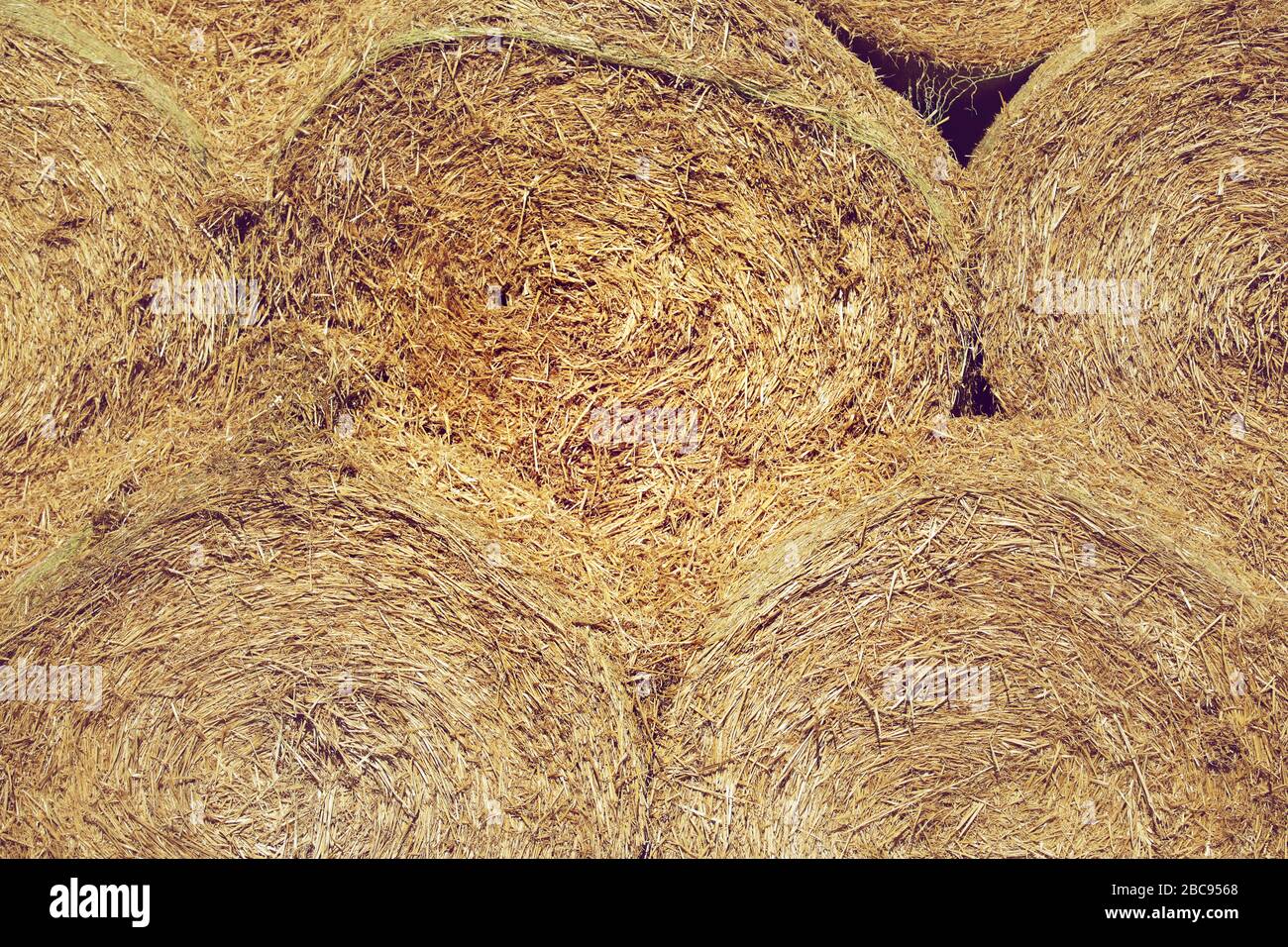Flour bales hi-res stock photography and images - Alamy