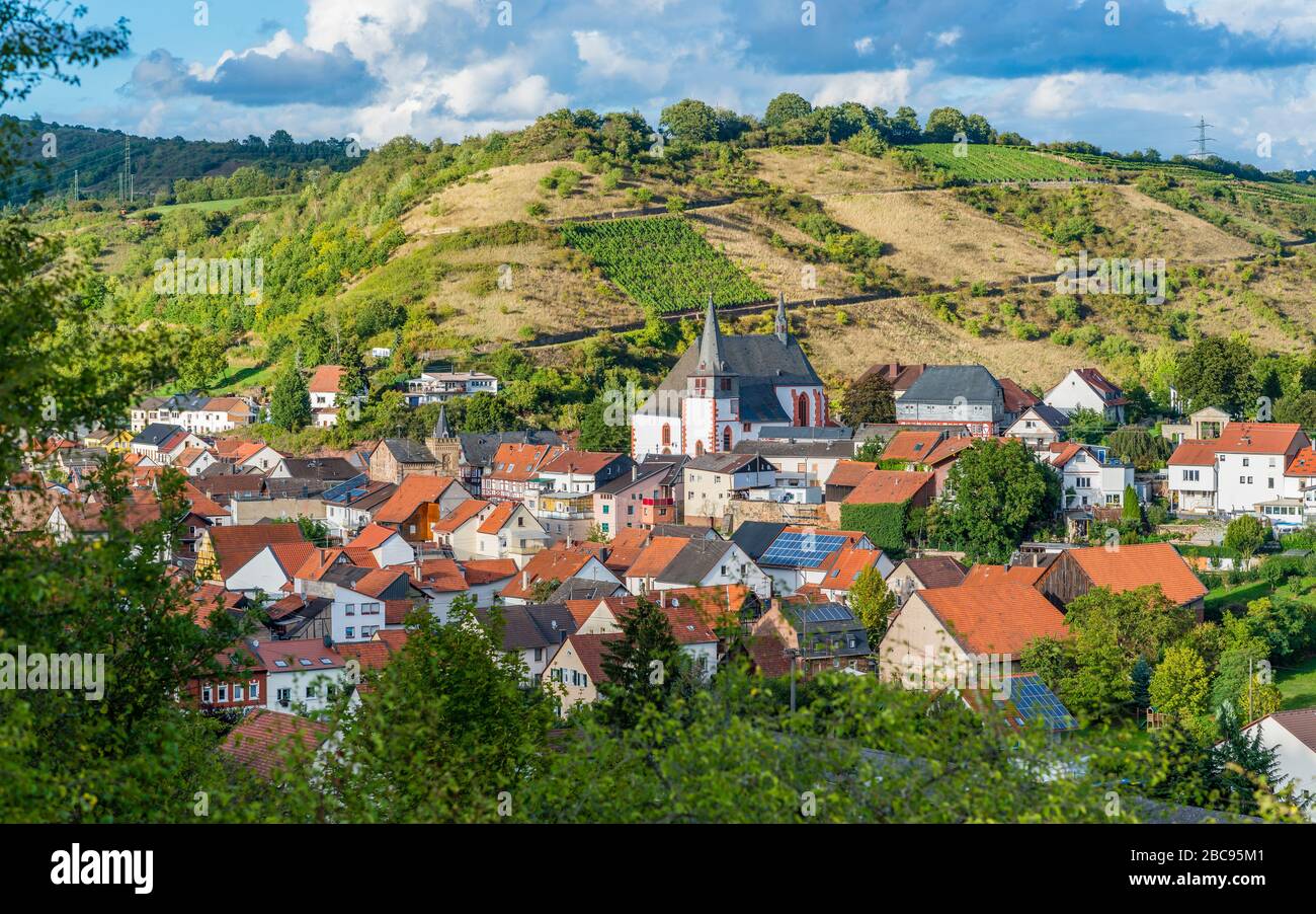 old core of Monzingen, on the middle Nahe, with Martinskirche, town ...