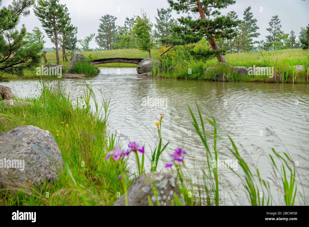 Amazing Pond in Japanese garden near Palanga . Sunny day at summer in ...