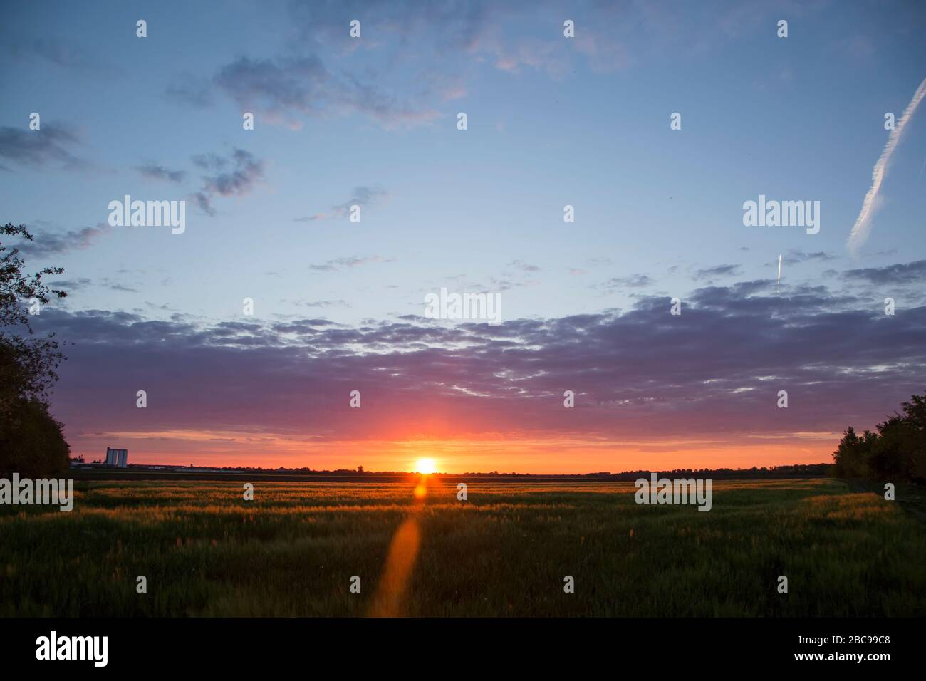 landscape sunset field field nature grass Stock Photo - Alamy