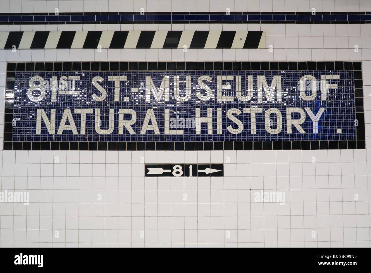 81st Street - Museum of Natural History mosaic New York subway sign ...