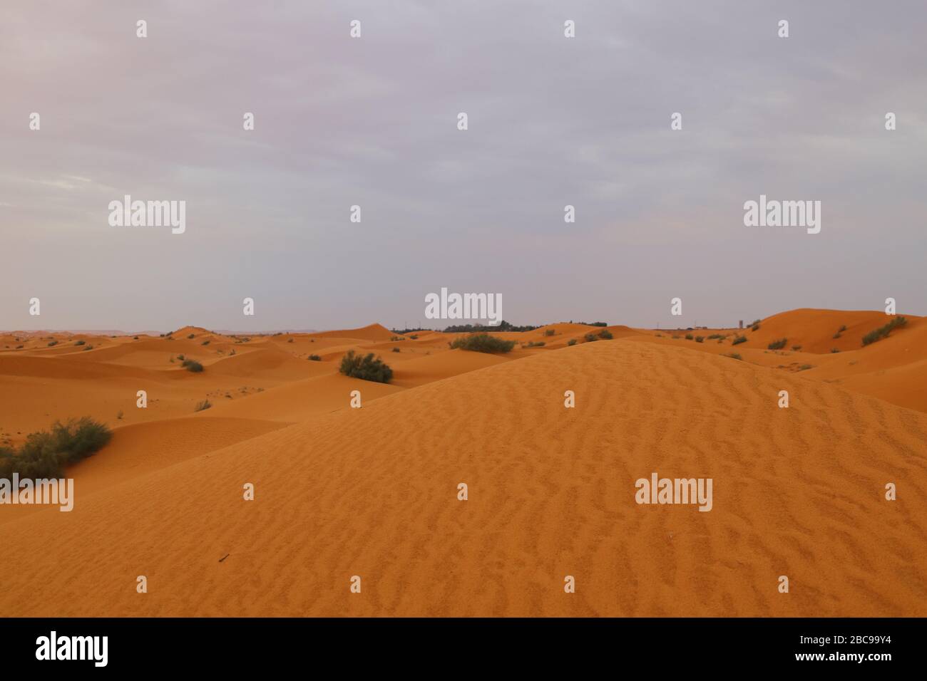 amazing landscape for desert with rain Stock Photo - Alamy