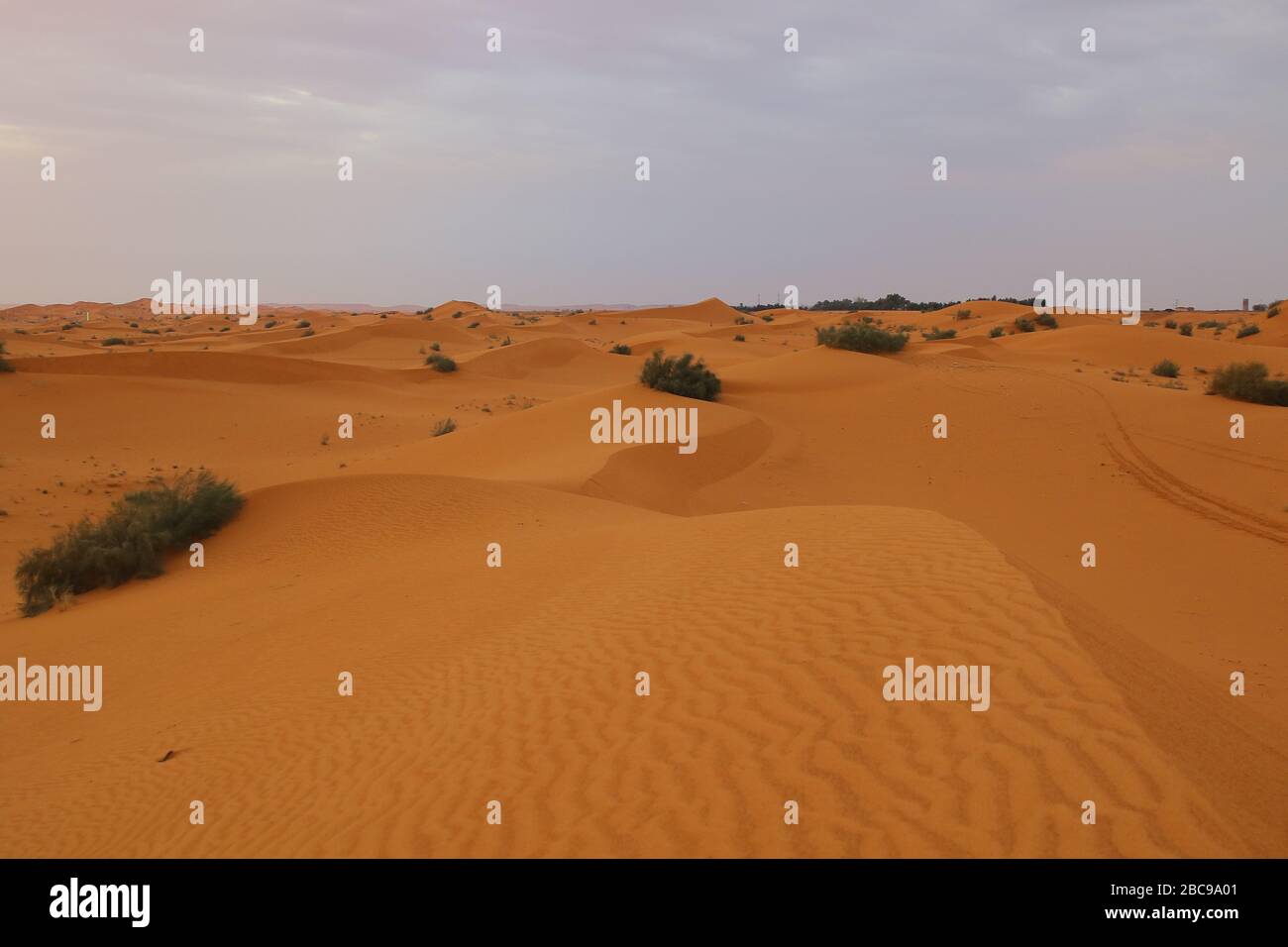 amazing landscape for desert with rain Stock Photo - Alamy