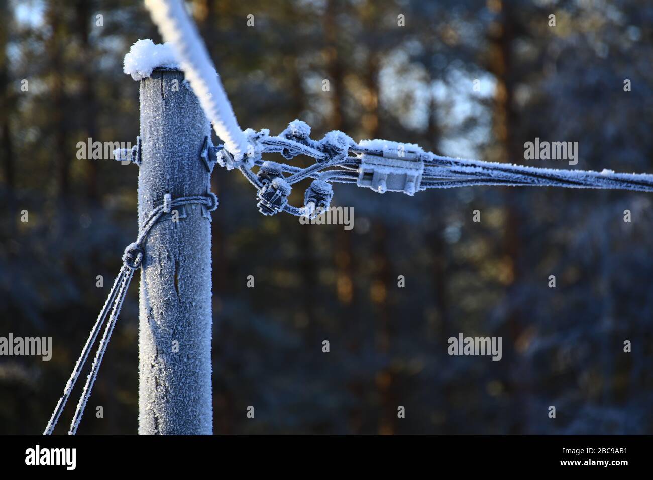 Frozen power line in Swedish winter season Stock Photo - Alamy
