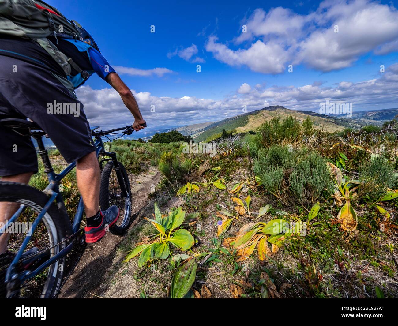Mountain bikers on single trail GR 400 at Bois Mary, descent over ...