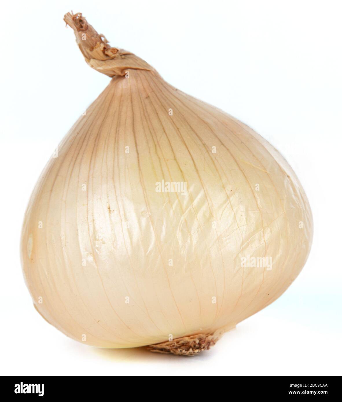 Yellow onion for cooking on a white background Stock Photo - Alamy