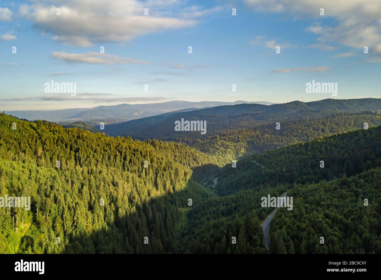 Aerial view of winding road in high mountain pass trough dense green ...