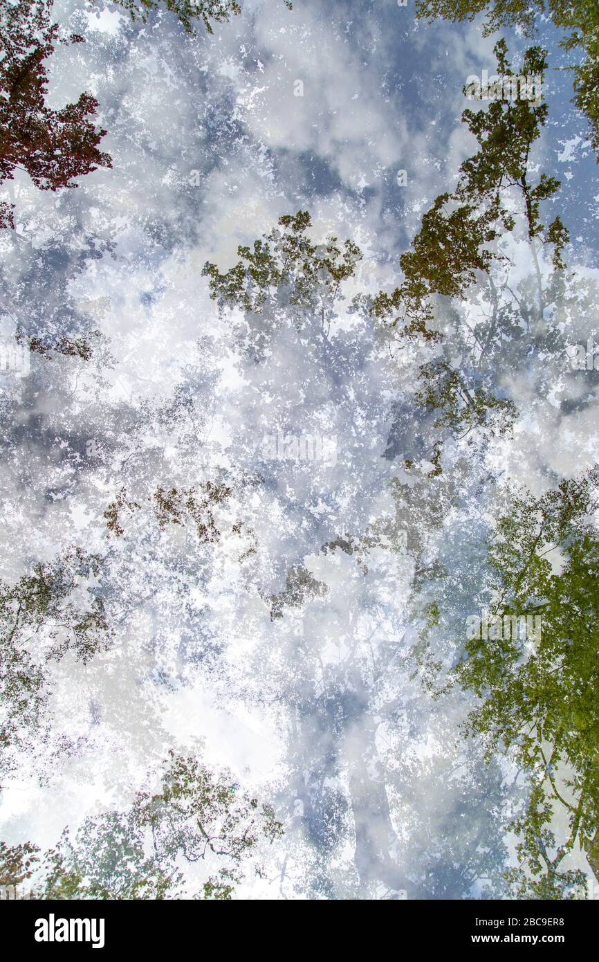 Multiple exposure hi-res stock photography and images - Alamy