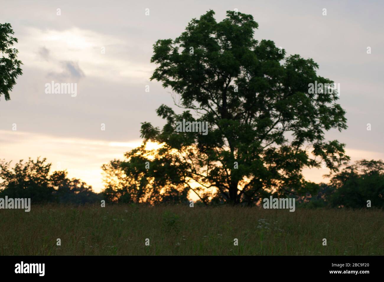 Darby creek hi-res stock photography and images - Alamy