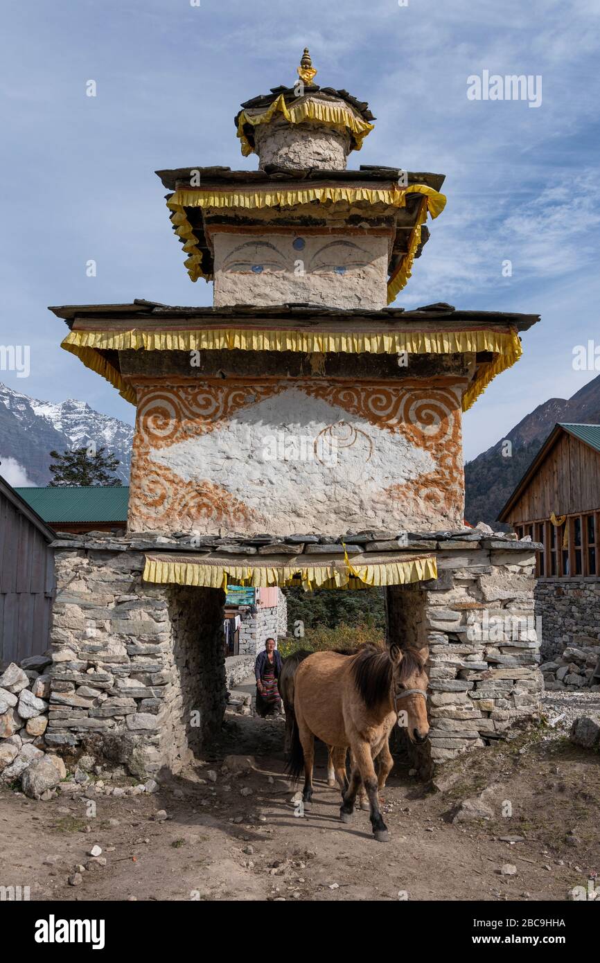 Horses run through the entrance gate of Shyala in Nepal Stock Photo - Alamy