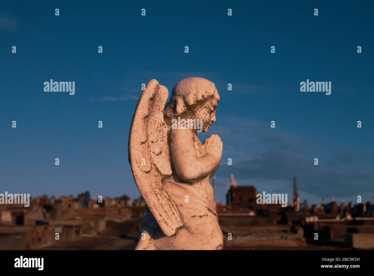 Angel statue praying .Botany cemetery also known as Eastern Suburbs ...