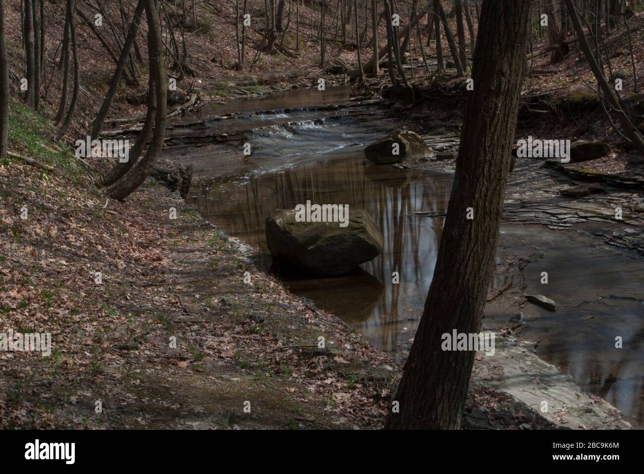 Stream, Cuyahoga Valley National Park, Ohio Stock Photo - Alamy