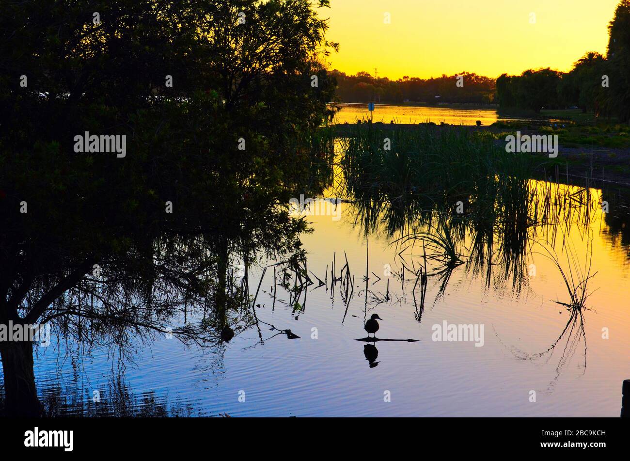 Lake Monger Reserve Stock Photo - Alamy