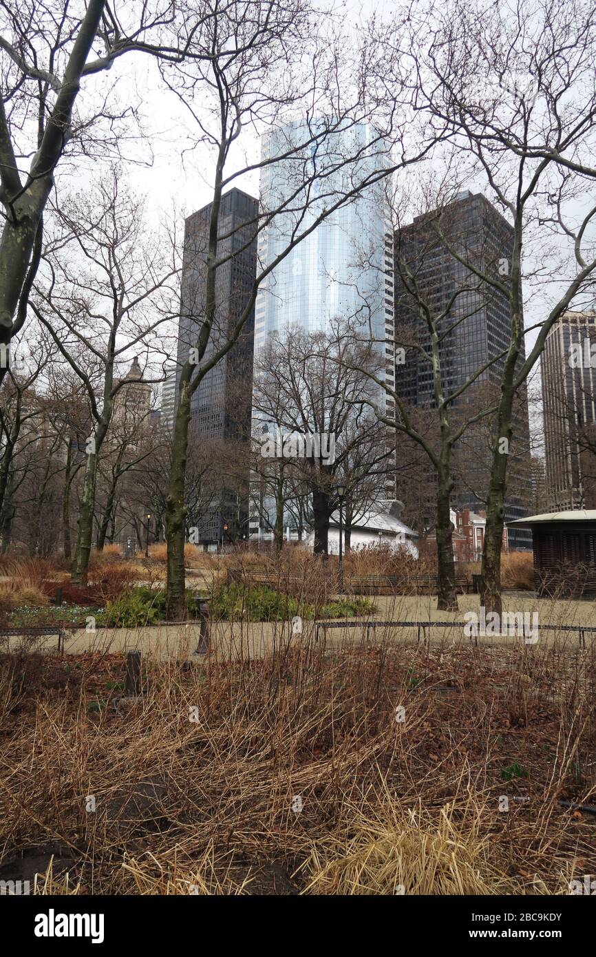 Bare trees and skyscrapers, Battery Park, New York City Stock Photo - Alamy
