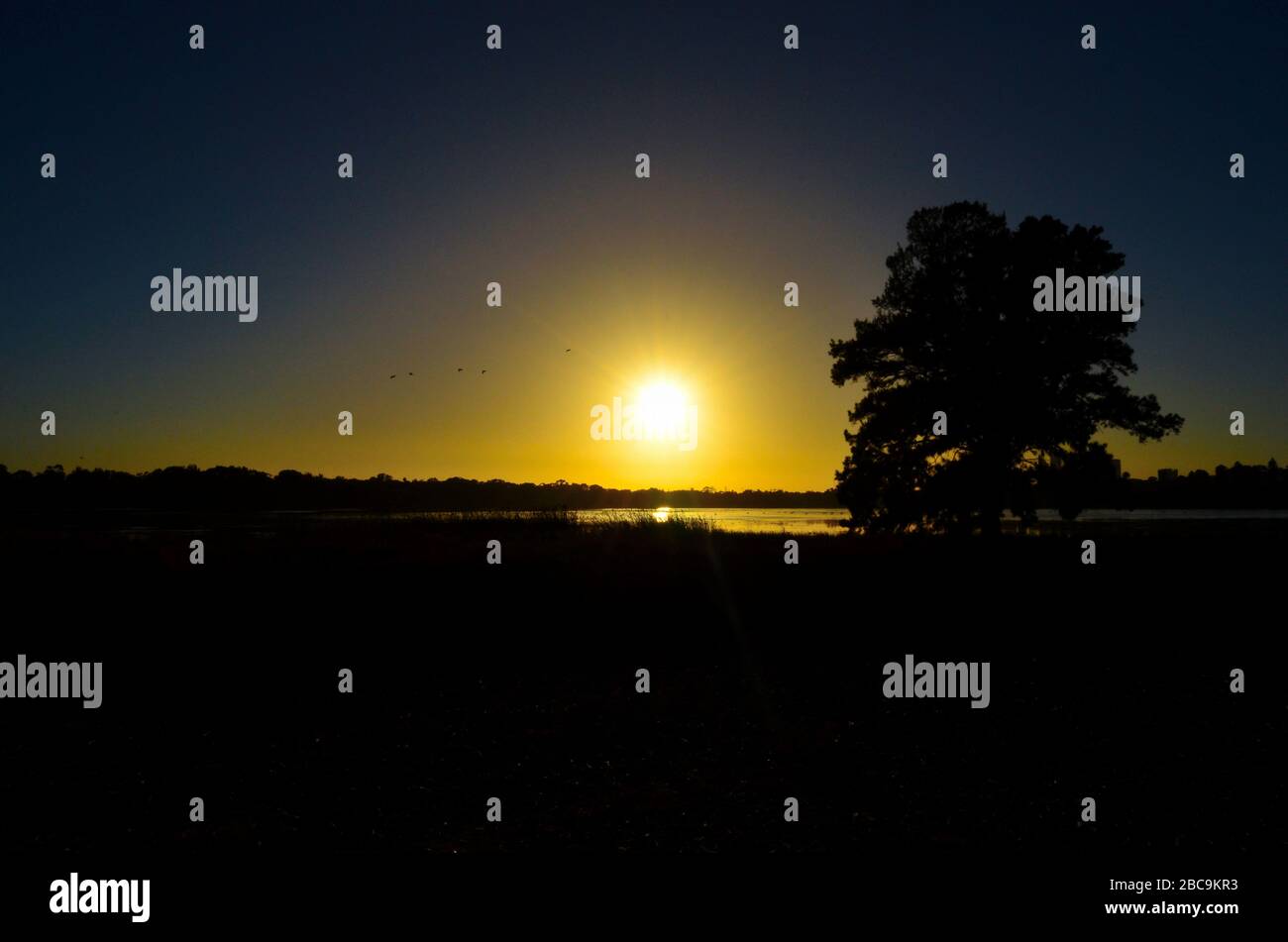 Lake Monger Reserve Stock Photo - Alamy