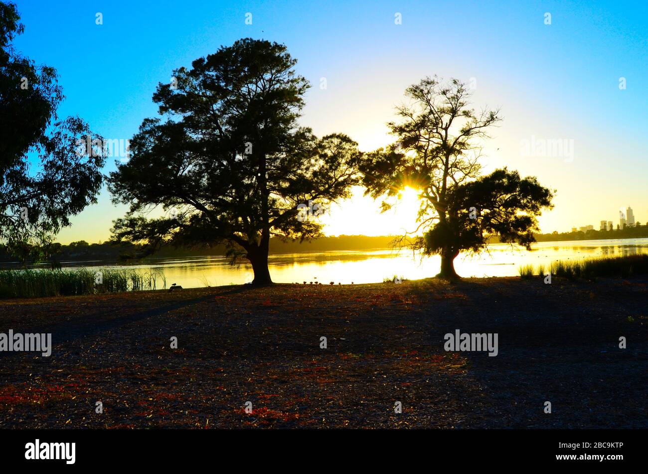 Lake Monger Reserve Stock Photo - Alamy