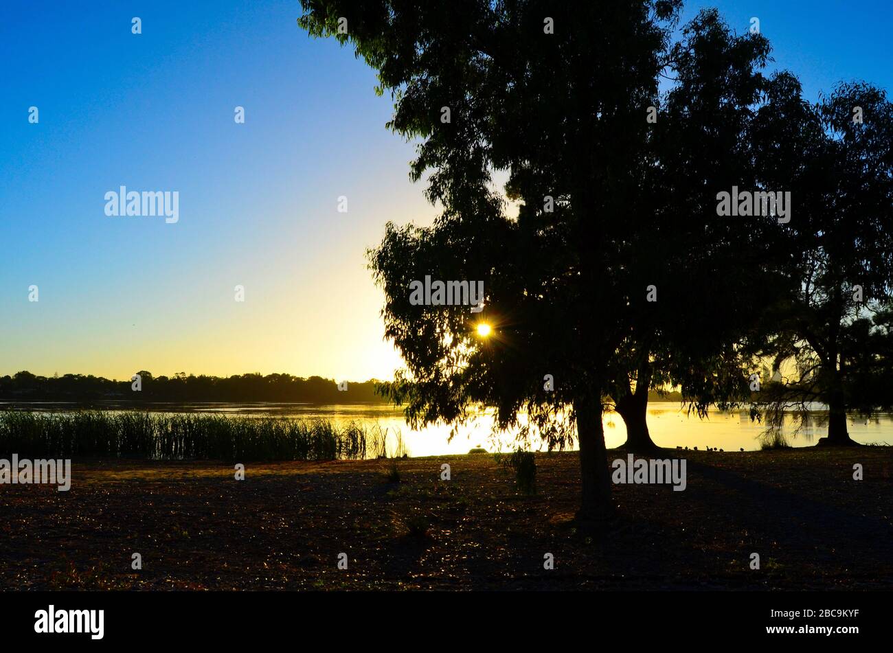 Lake Monger Reserve Stock Photo - Alamy