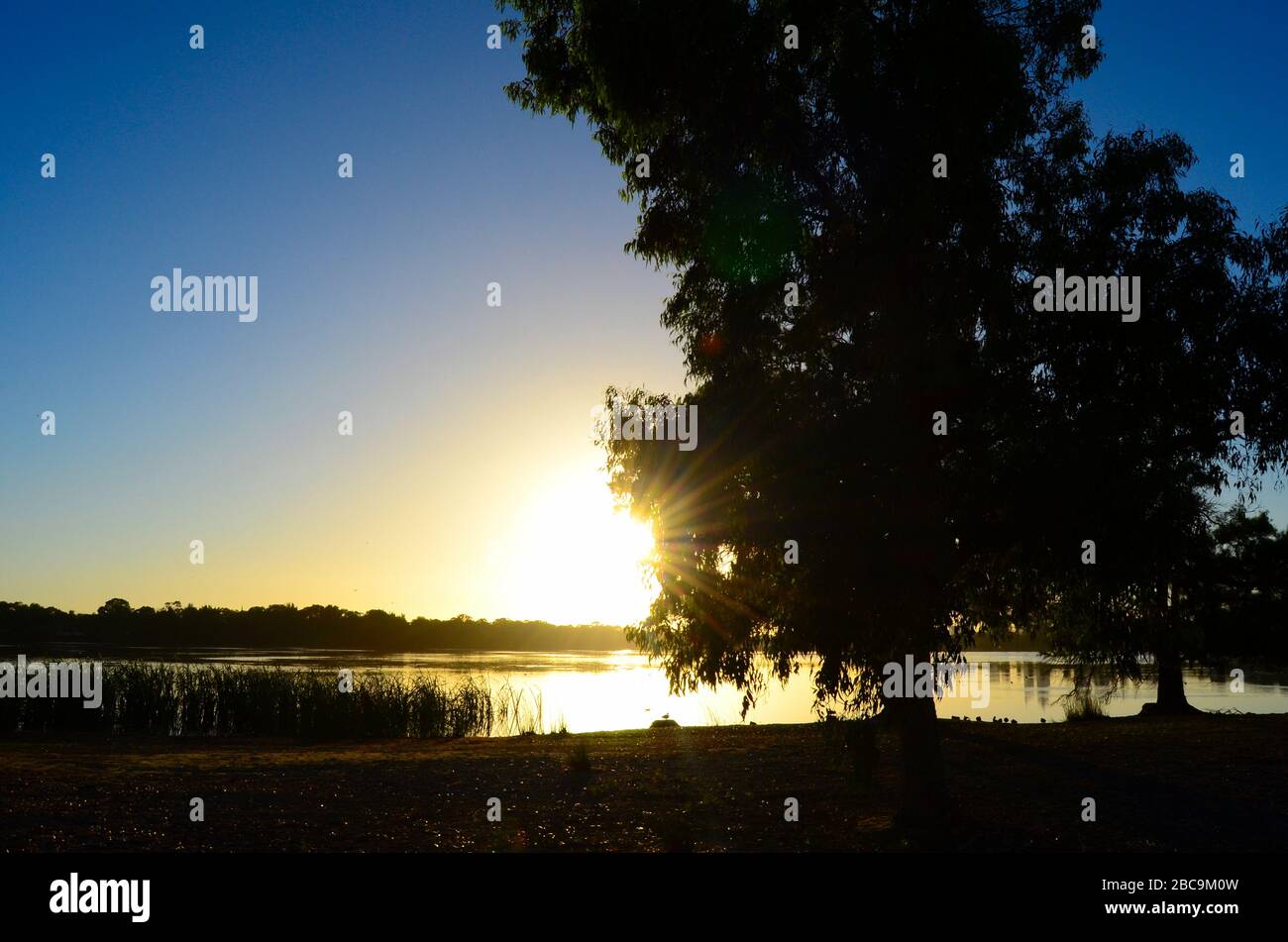 Lake Monger Reserve Stock Photo - Alamy