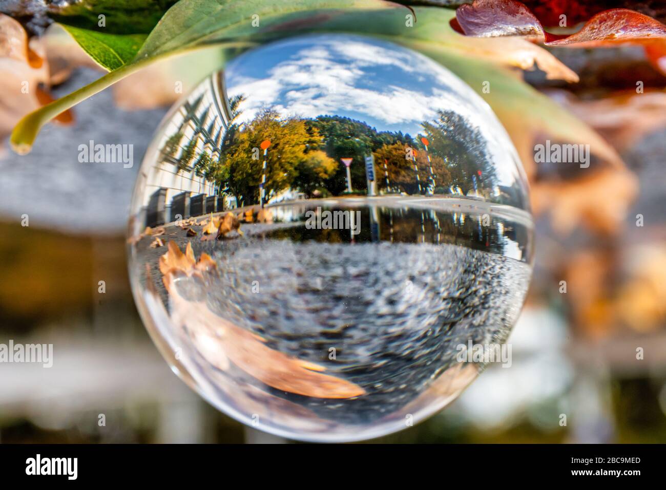 Inverted tree art hi-res stock photography and images - Alamy