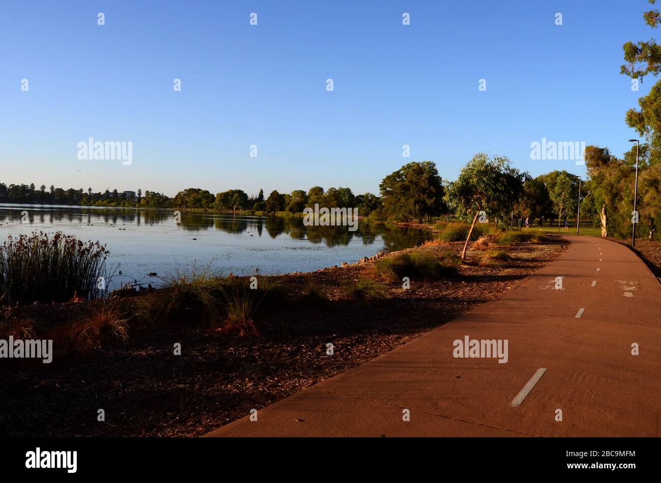 Lake Monger Reserve Stock Photo - Alamy