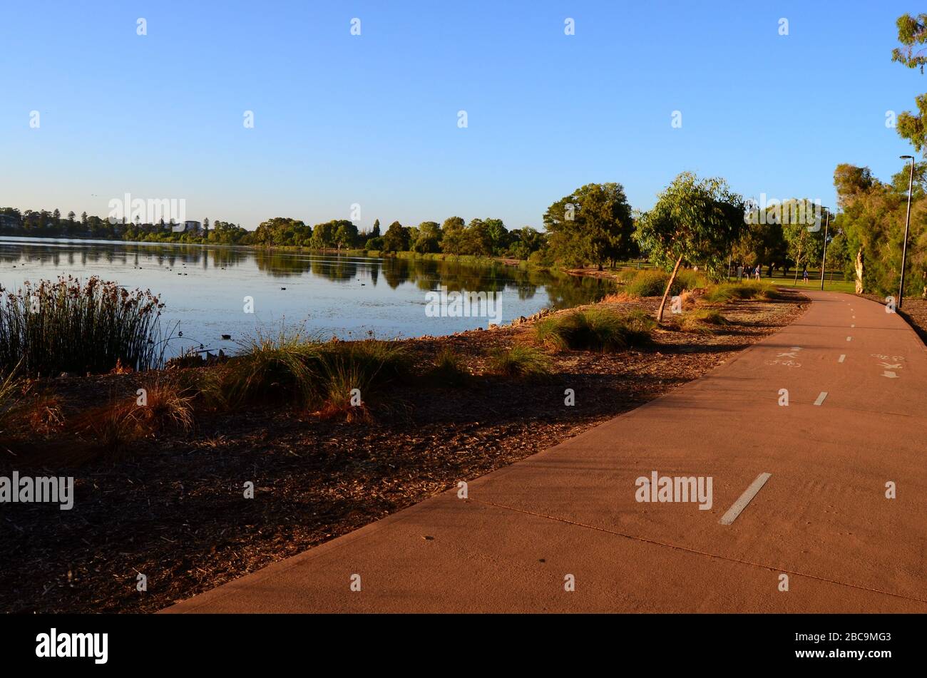 Lake Monger Reserve Stock Photo - Alamy