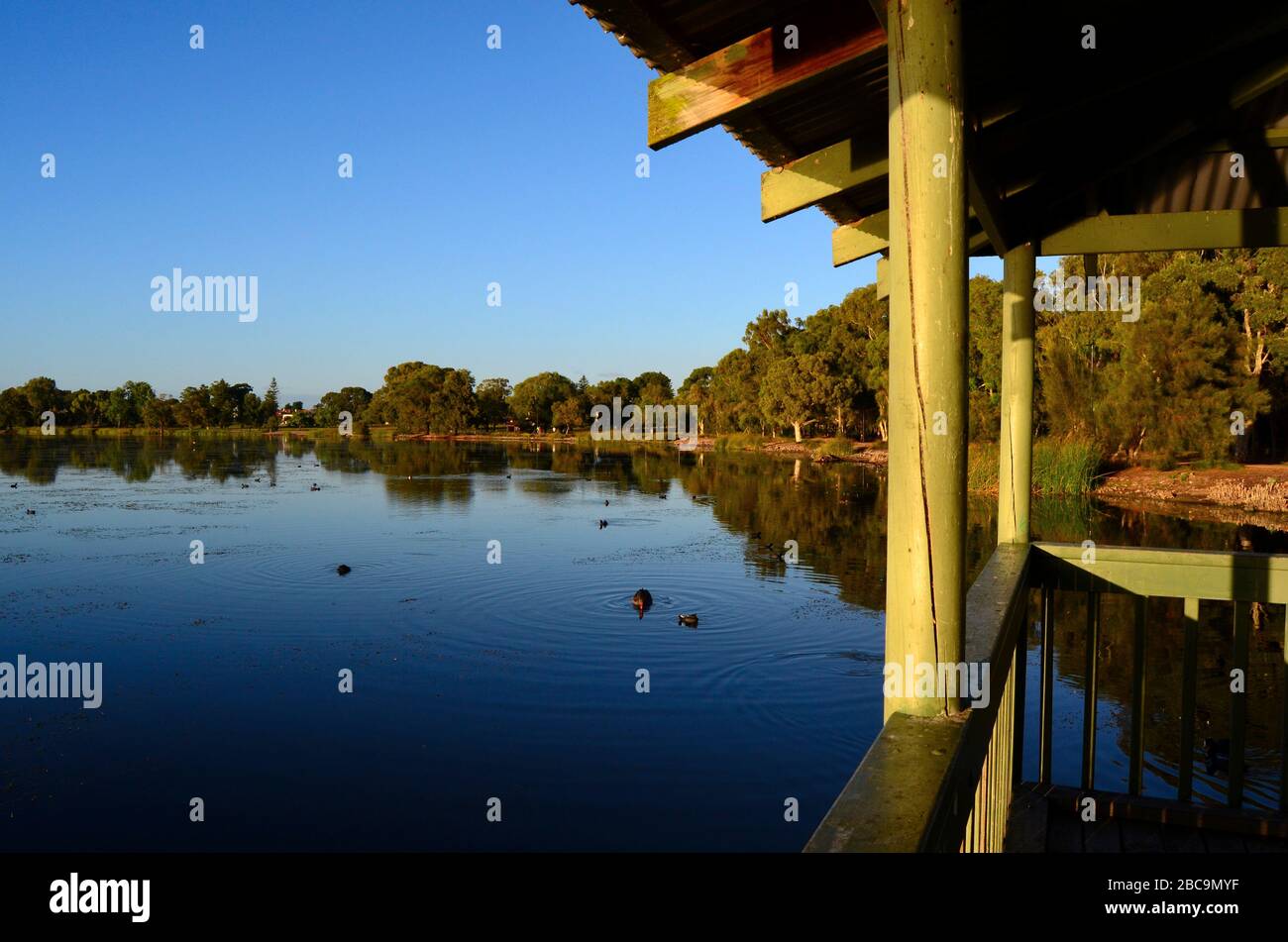 Lake Monger Reserve Stock Photo - Alamy