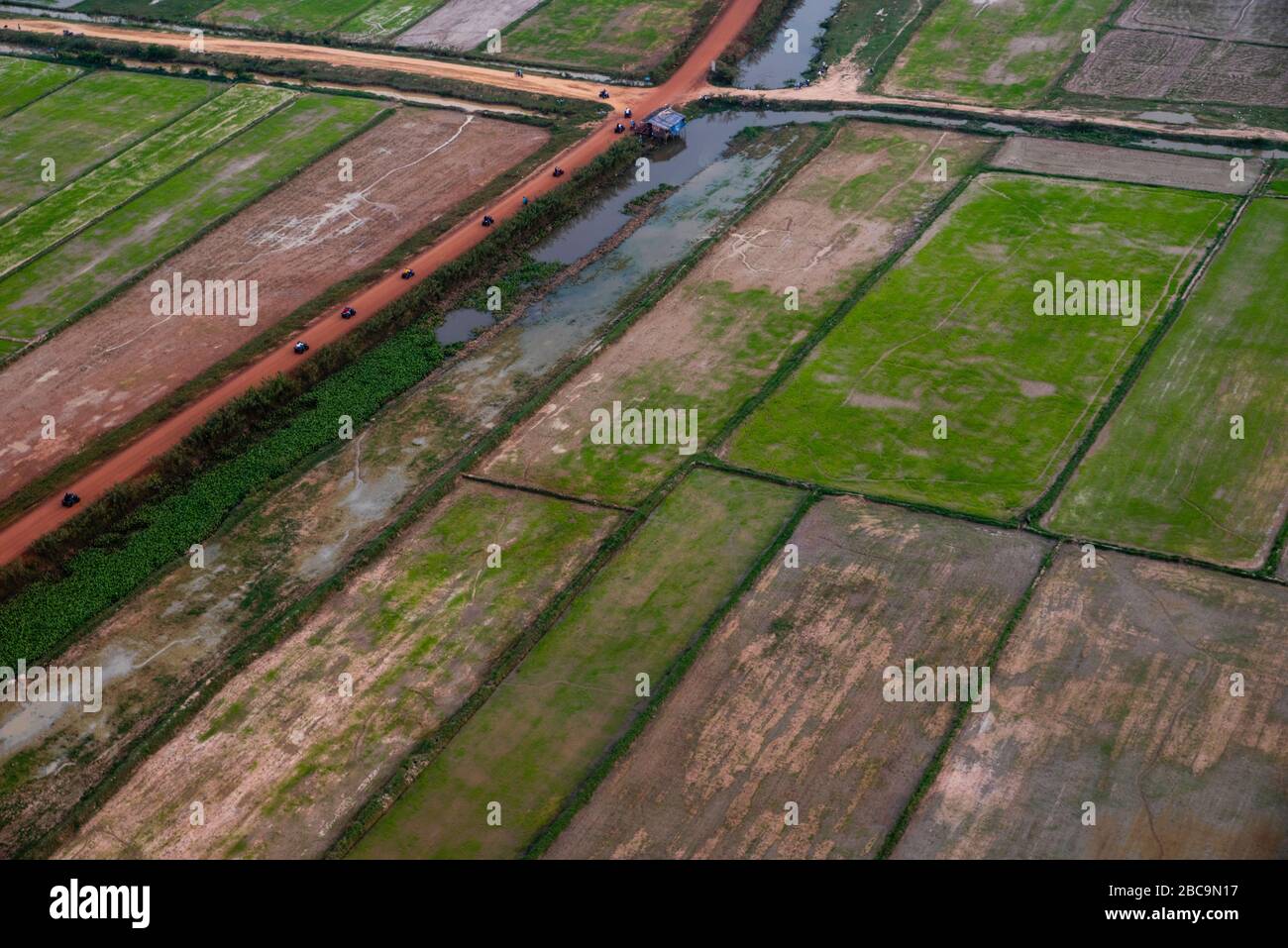 Aerial view of rice paddies, south of Siem Reap, Cambodia Stock Photo ...