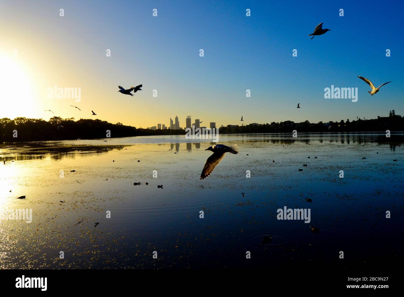 Lake Monger Reserve Stock Photo - Alamy