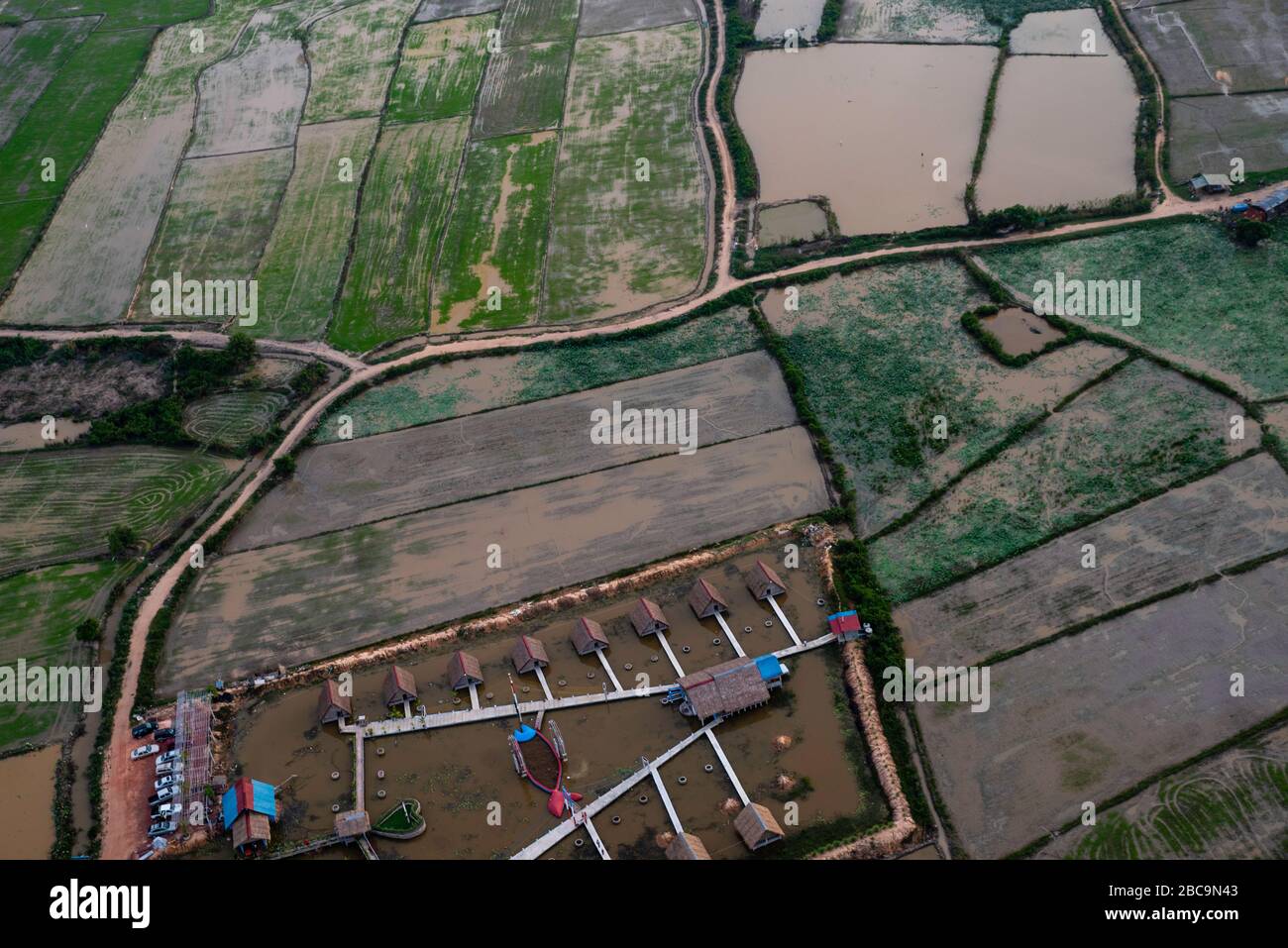 Rice paddy dike hi-res stock photography and images - Alamy