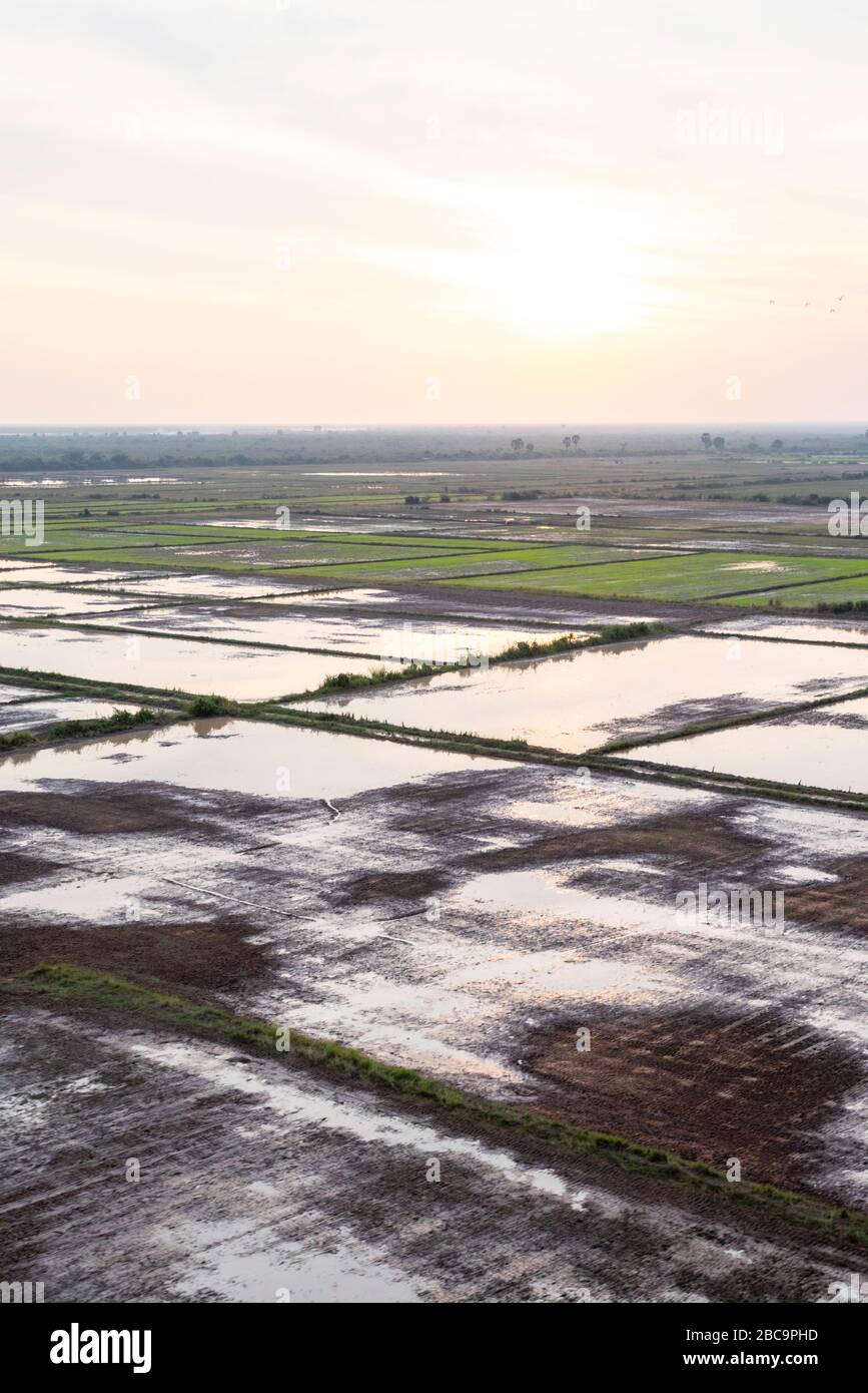 Aerial view of rice paddies and Tonle Sap, south of Siem Reap, Cambodia ...