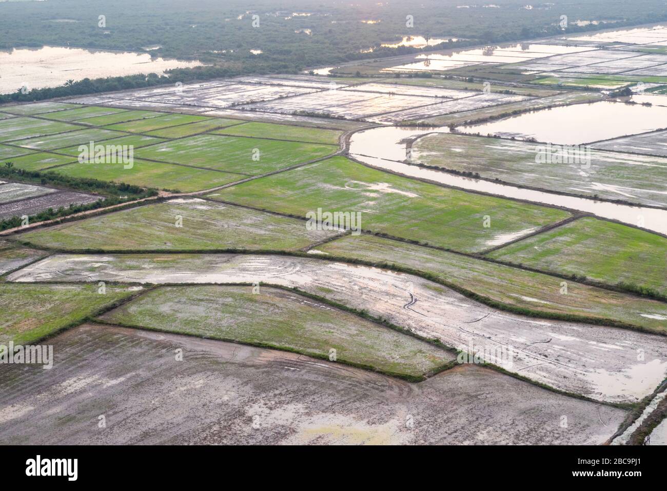 Aerial view of rice paddies and Tonle Sap, south of Siem Reap, Cambodia ...