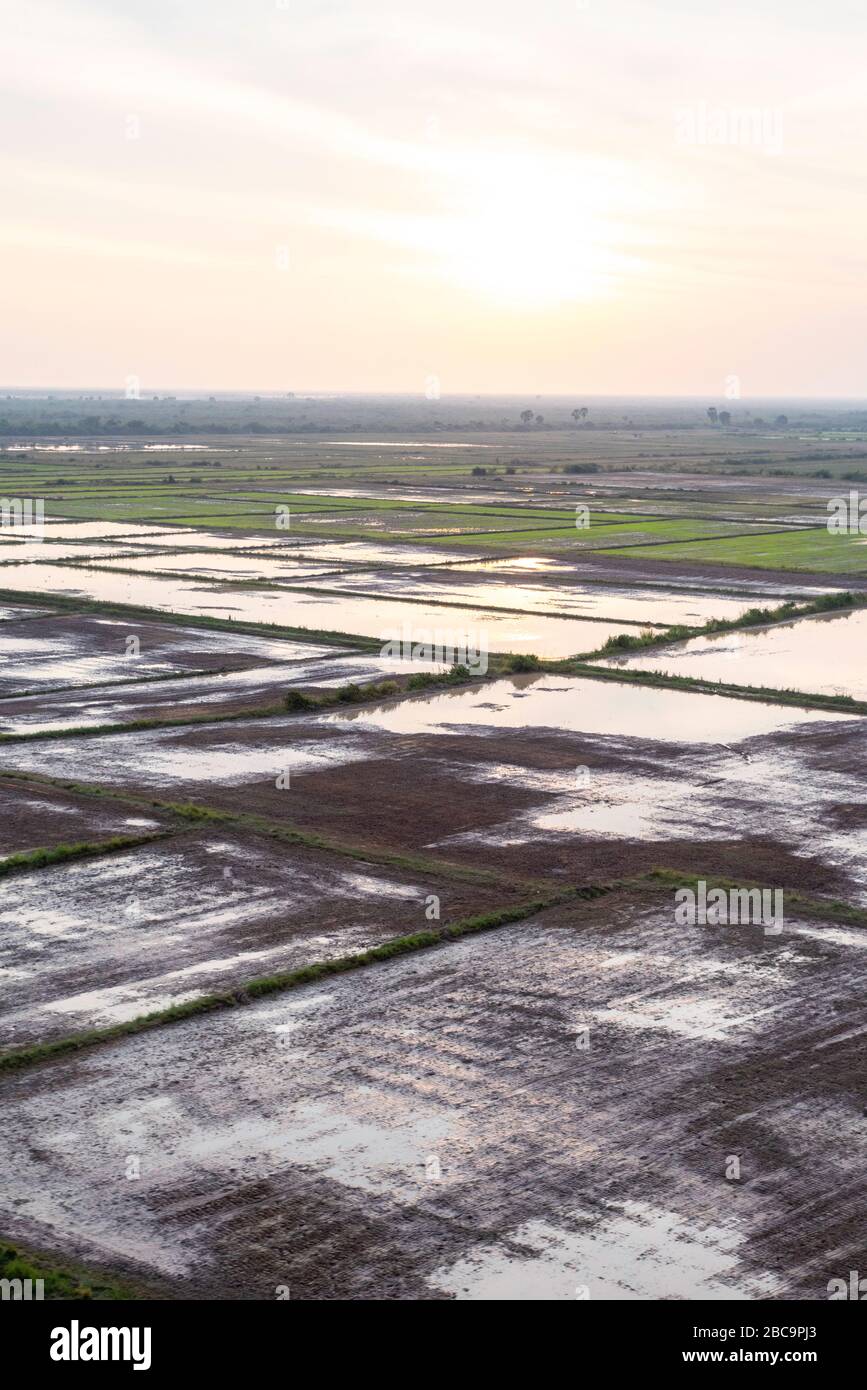 Aerial view of rice paddies and Tonle Sap, south of Siem Reap, Cambodia ...
