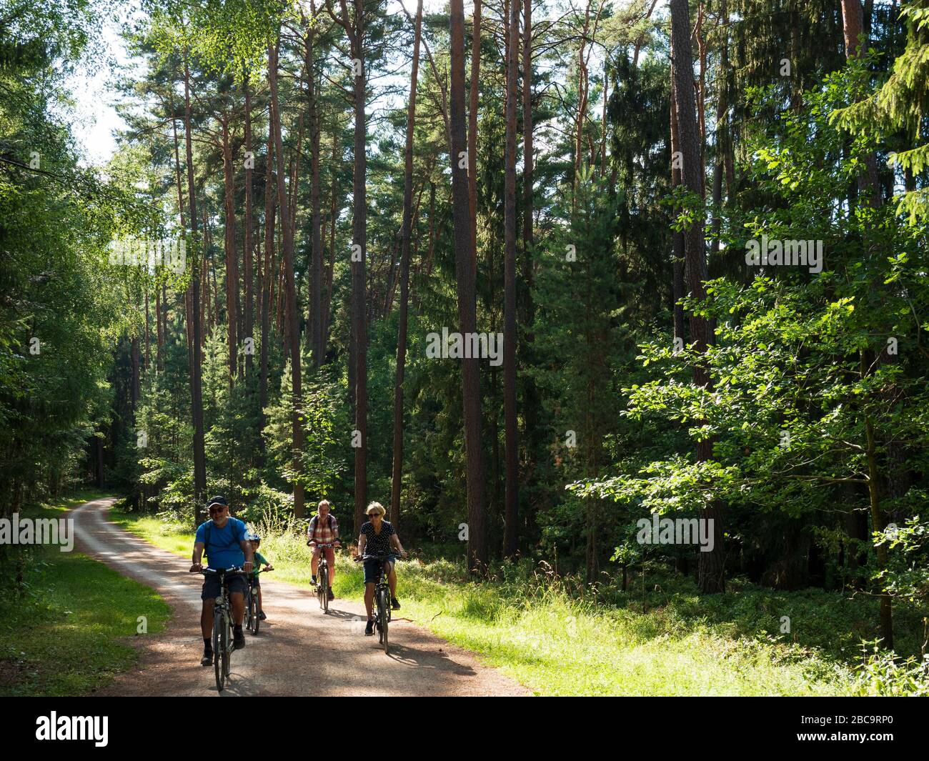 Brombachsee, bike path in the forest, Franconia, Bavaria, Germany Stock ...