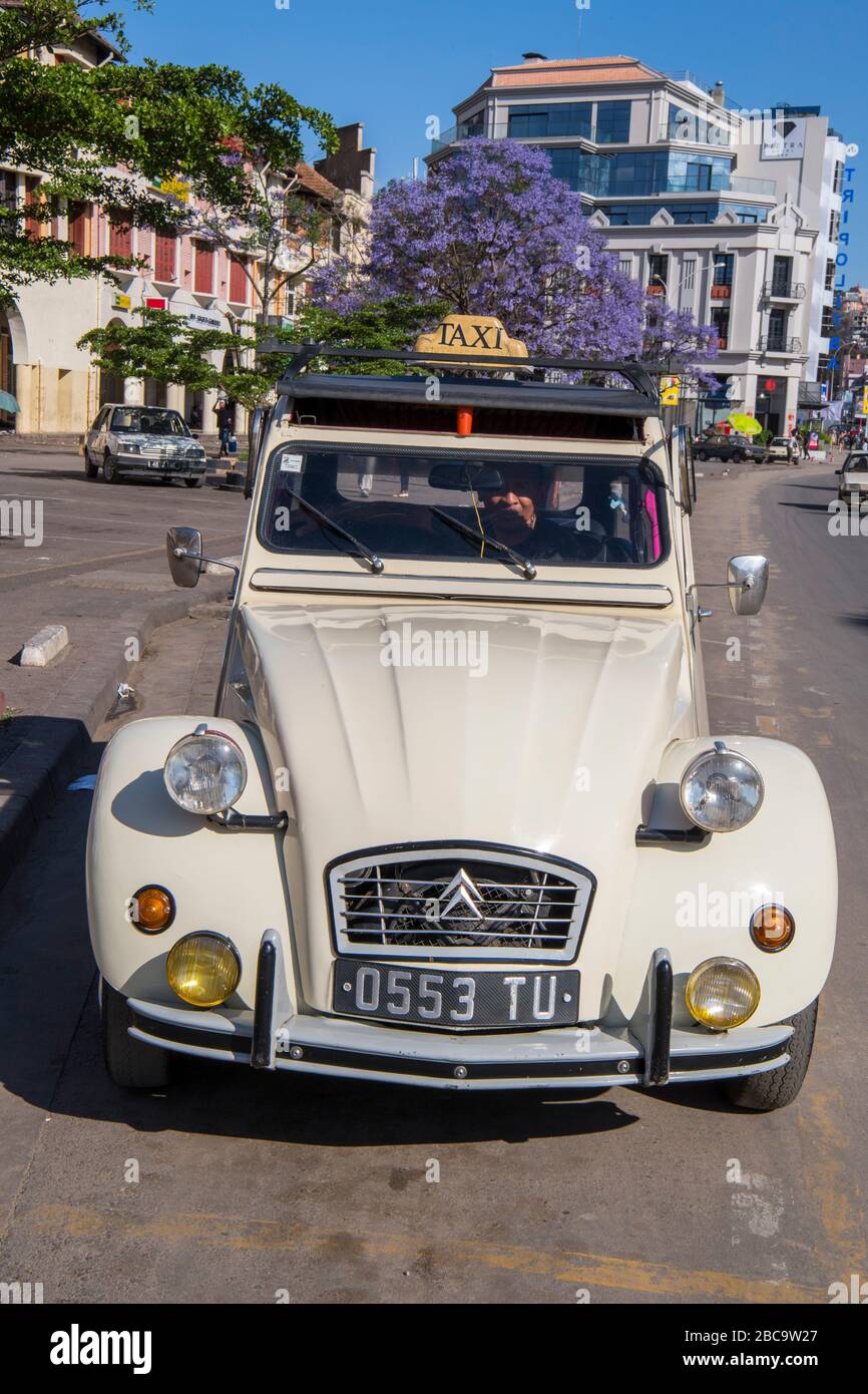 Africa, Madagascar, Antanananarivo, Tana. Car and jacaranda tree Stock ...
