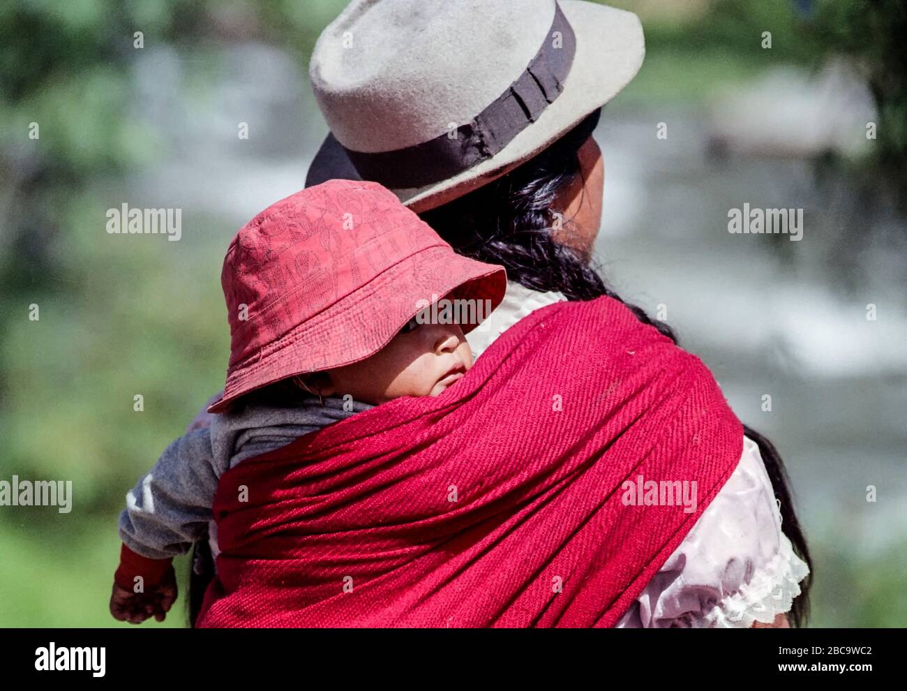 Baby on the back Stock Photo - Alamy