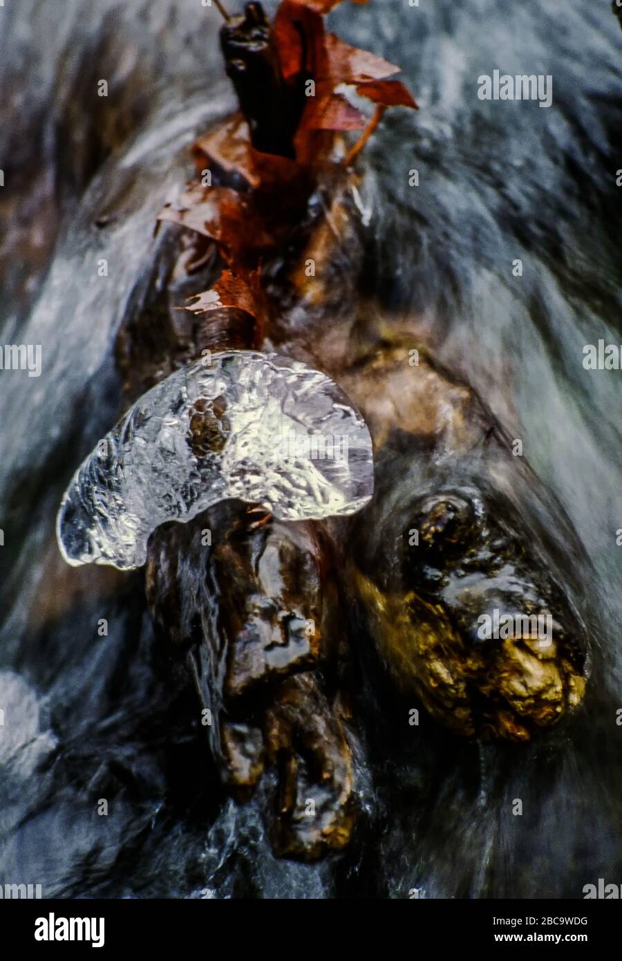 Ice block flow hi-res stock photography and images - Alamy