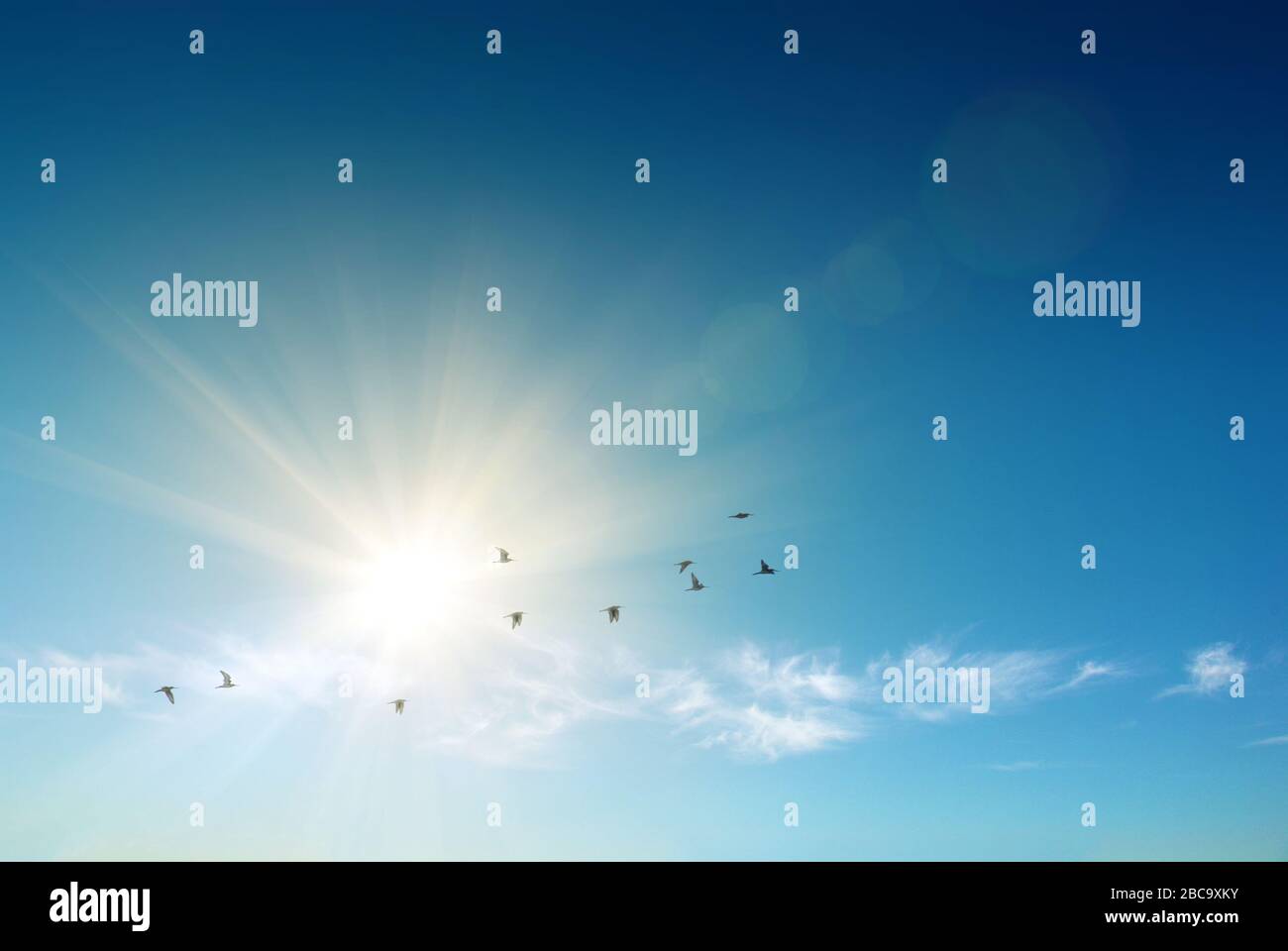 Misty sky with clouds sunny hi-res stock photography and images - Alamy