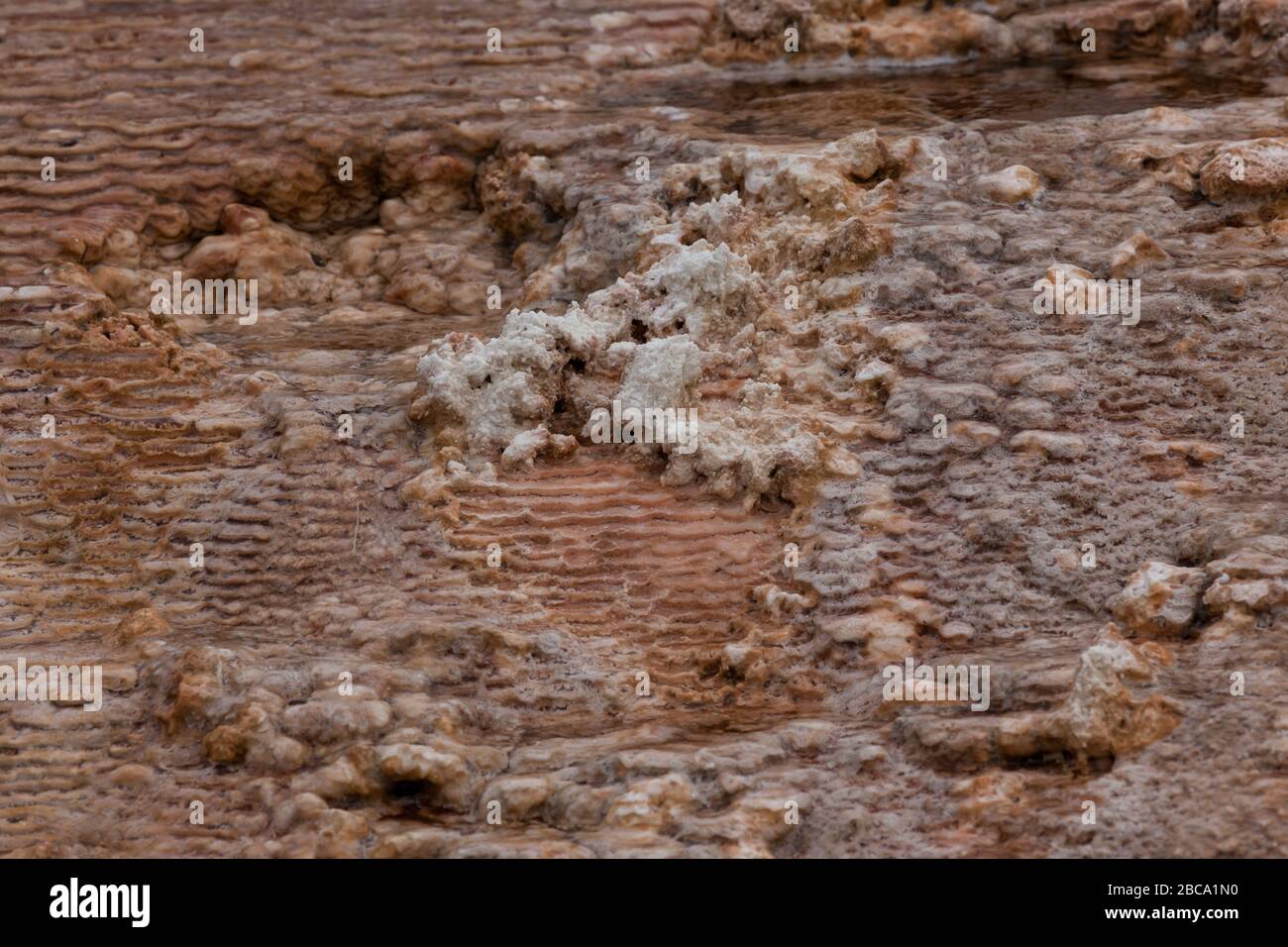 A background of travertine formations under a shallow layer of ...