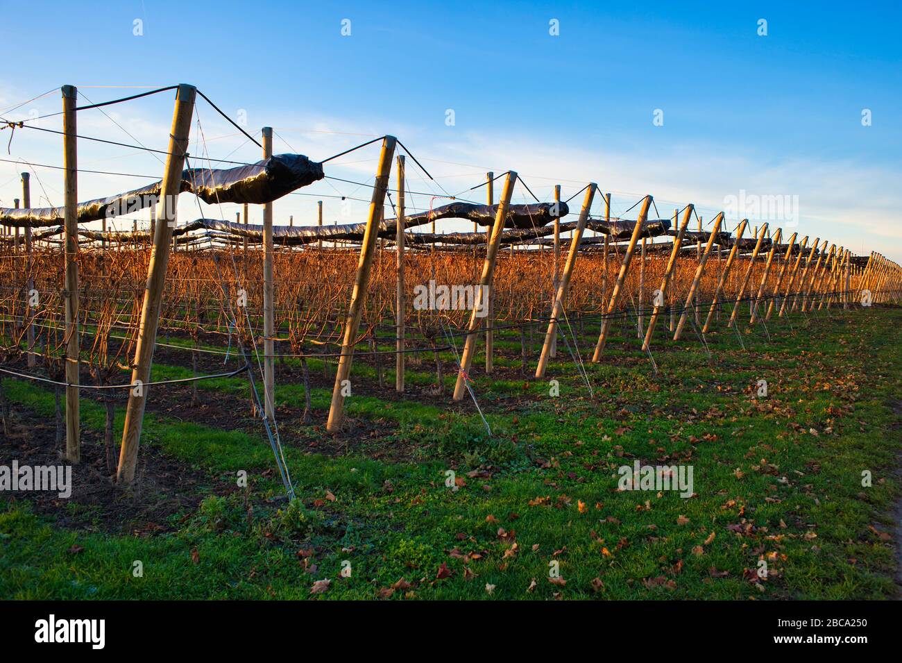 Refuge extension hi-res stock photography and images - Alamy