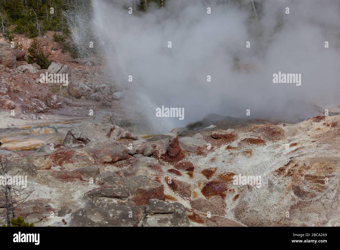 Steamboat Geyser, the worlds tallest geyser, lets out a small splash in ...