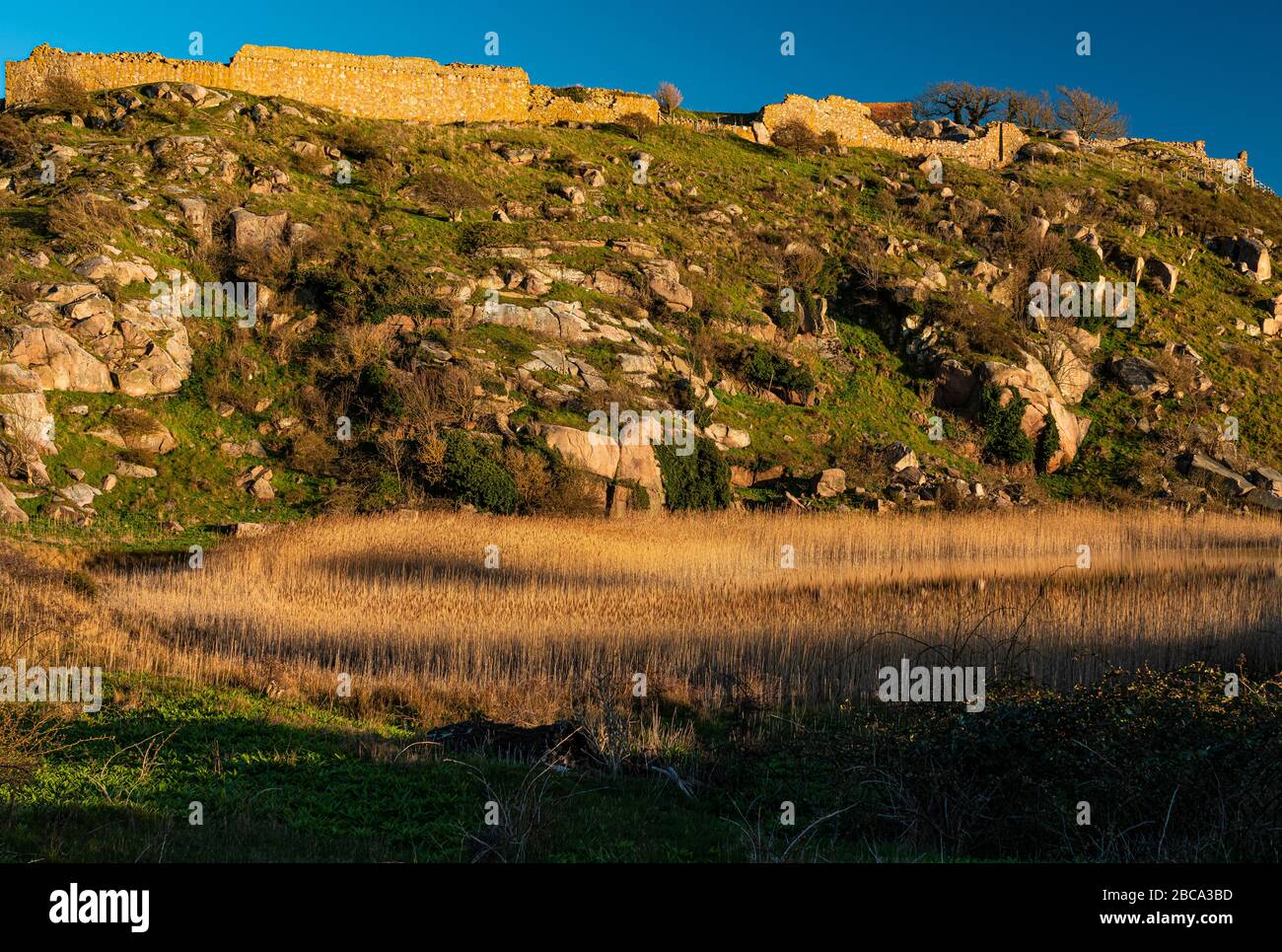 Northern tip of denmark hi-res stock photography and images - Alamy