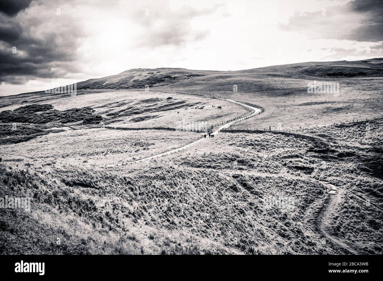 Southeastern coast of scotland hi-res stock photography and images - Alamy