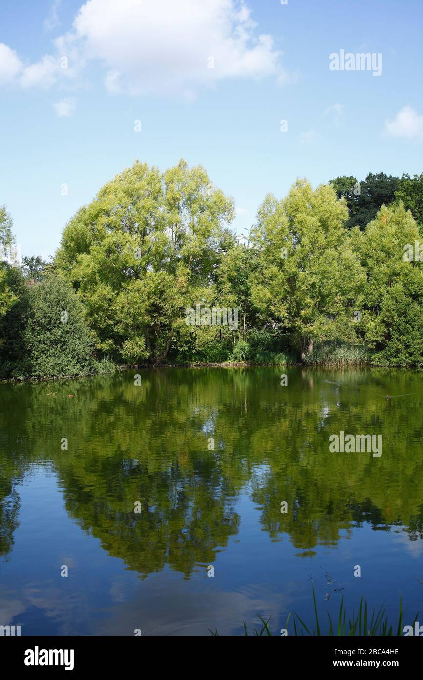 Rathauspark hi-res stock photography and images - Alamy