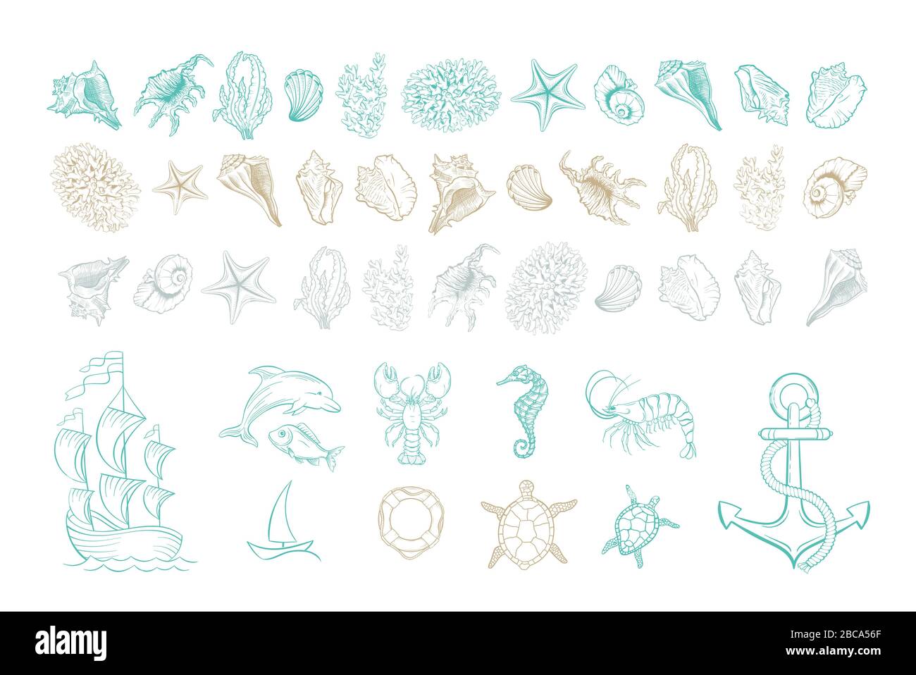 Marine line art vector icons of sea shells, anchor and mollusks. Hand ...