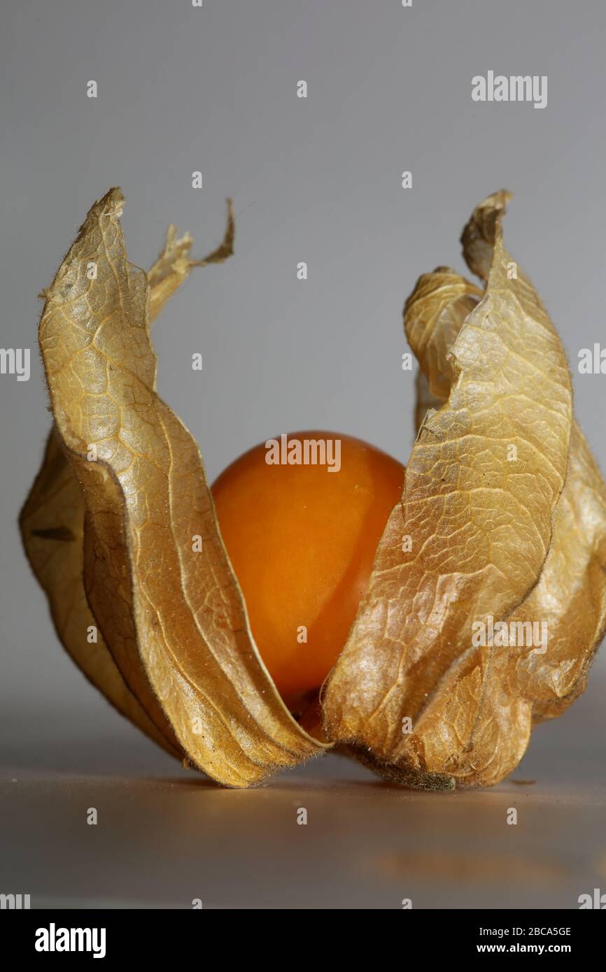 High quality fruit prints hi-res stock photography and images - Alamy
