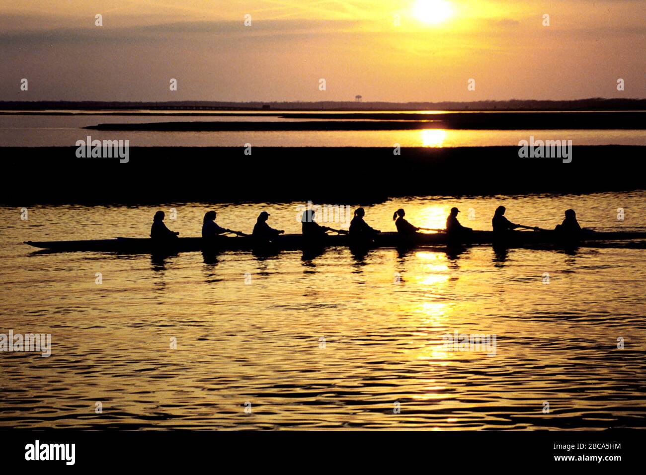 Eight shell rowing team hi-res stock photography and images - Alamy