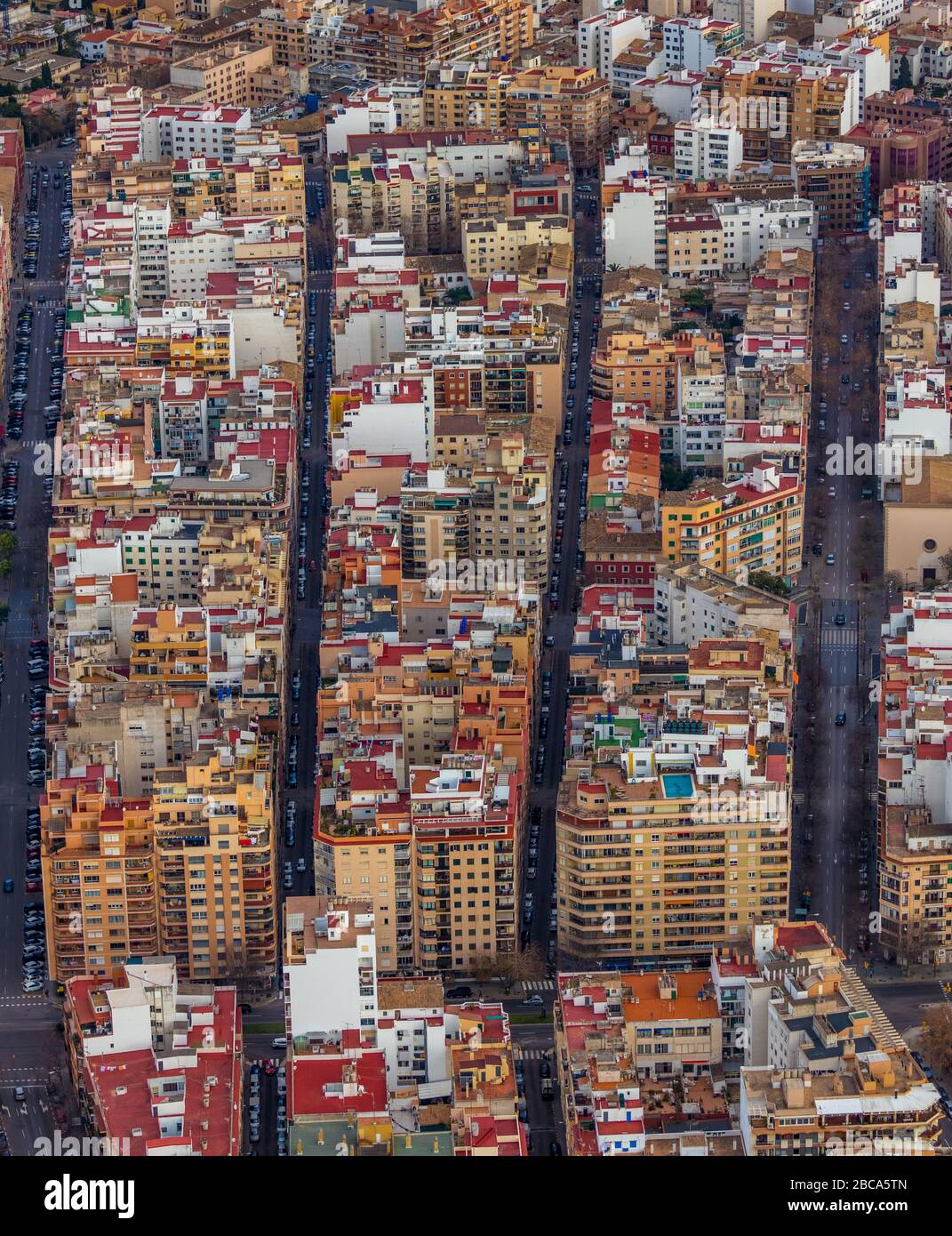 Aerial view, residential area downtown Palma, Palma, Mallorca, Spain ...