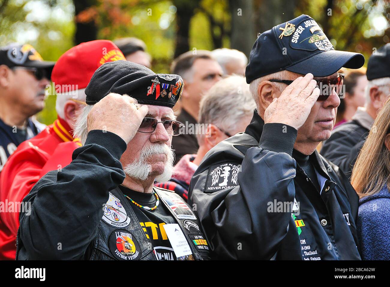 Two Vietnam veterans salute during a Veterans Day ceremony Stock Photo ...