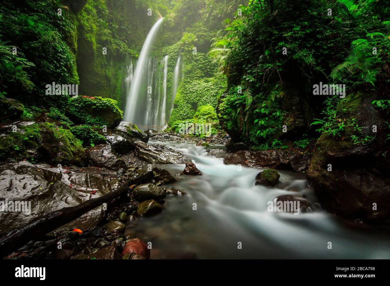 tiu kelep waterfall is a waterfall that is very famous in Lombok ...